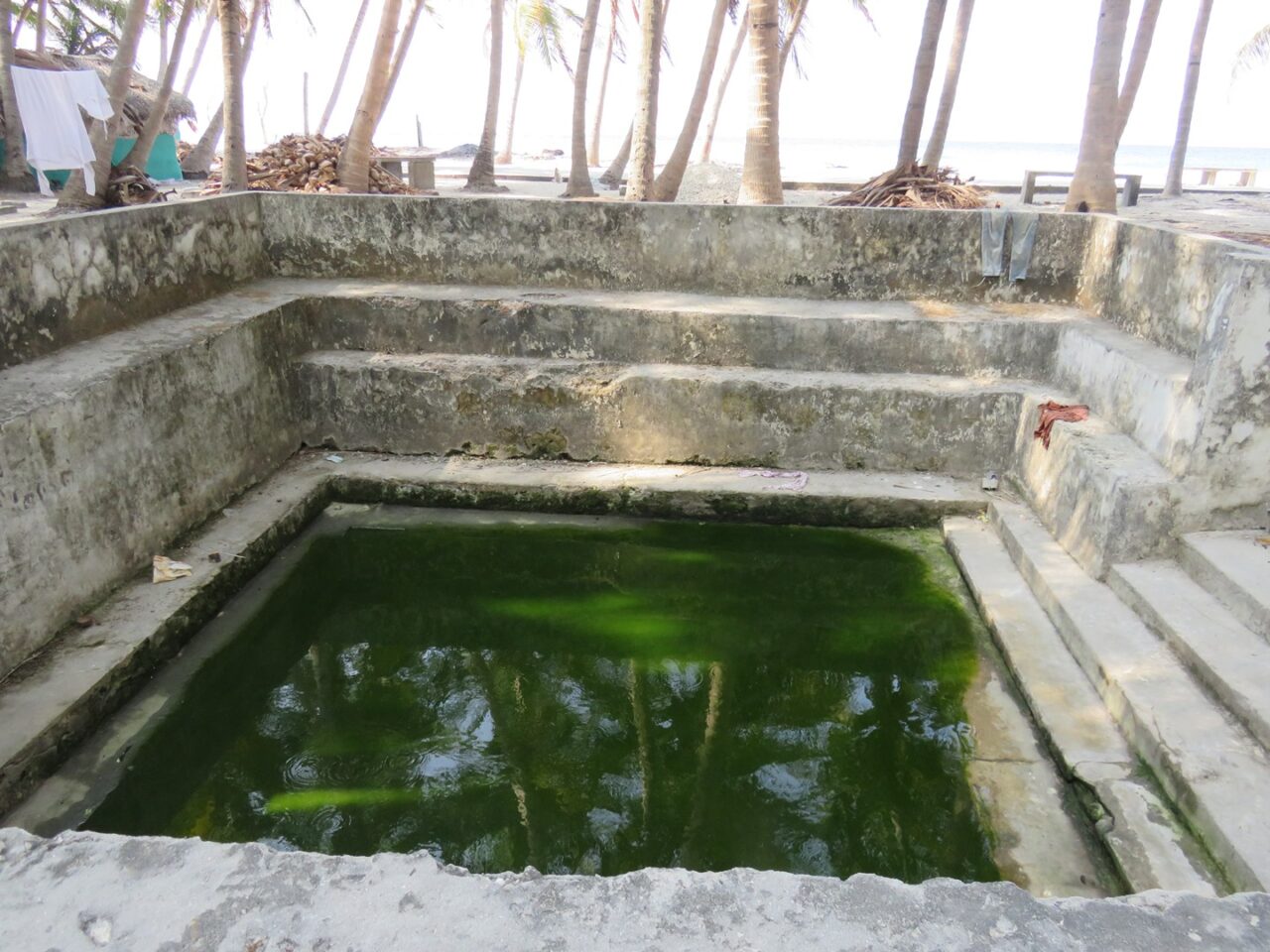 Thanni – Title for the Story BARISHAM | Sea Lexicon